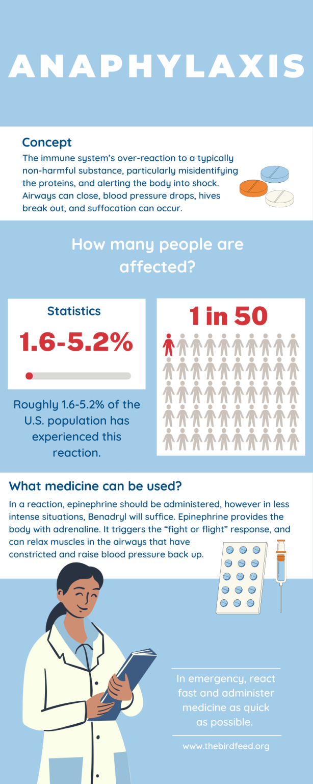 What Happens in Seconds: The Serious Science of Anaphylaxis – The Bird Feed